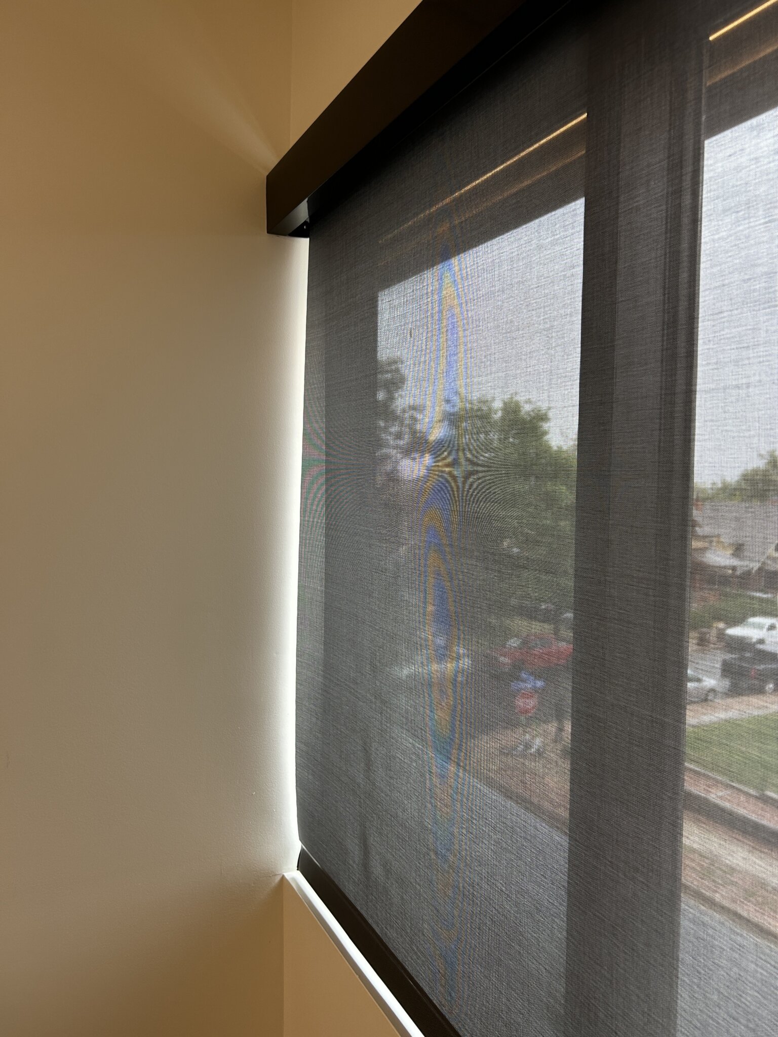 Commercial Solar Shades for Boulder Businesses | Bumble Bee Blinds of ...