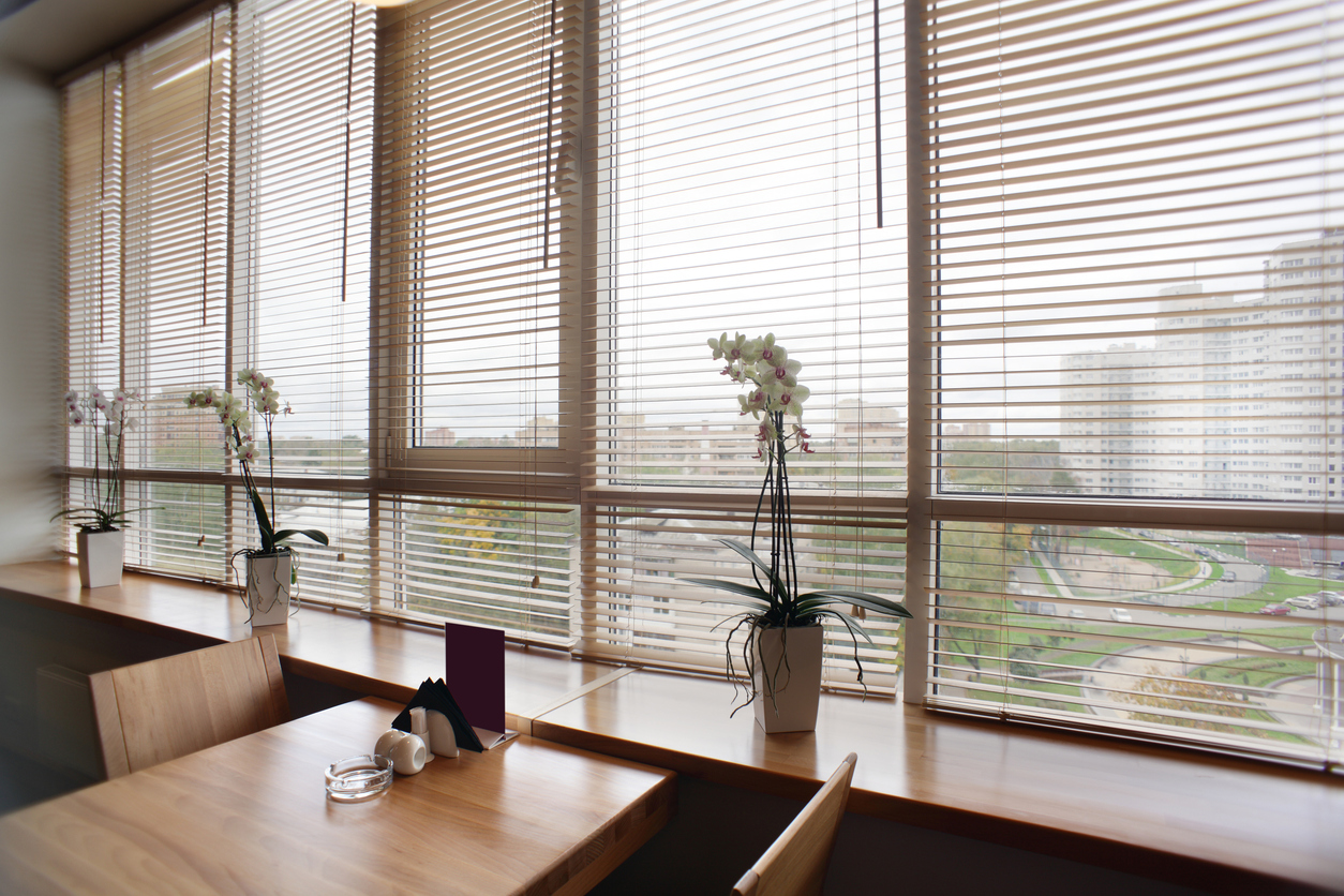 Commercial Window Panels